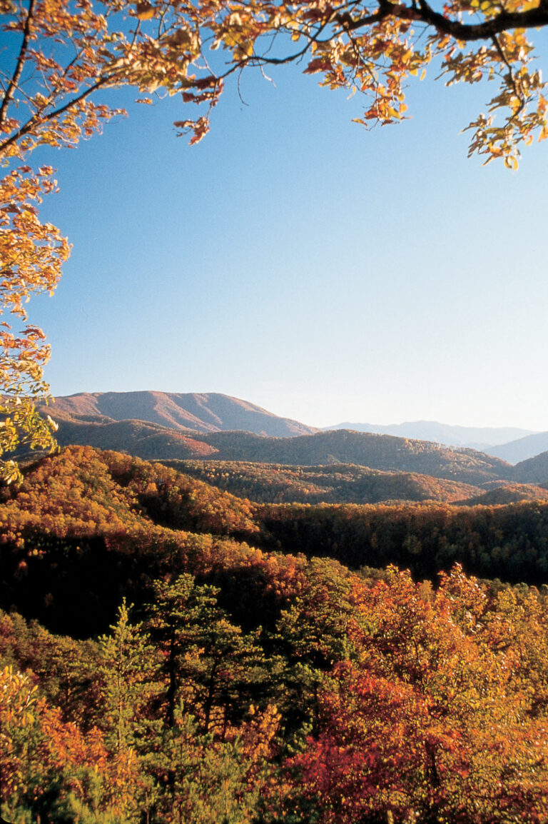 Photo Gallery - Pigeon Forge Department of Tourism Media Room